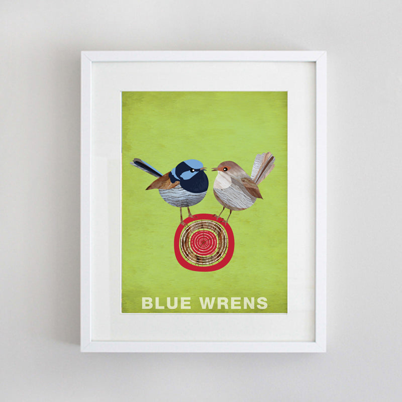 Australian Native Bird Art - Blue Wren Couple Print – La Source Australia