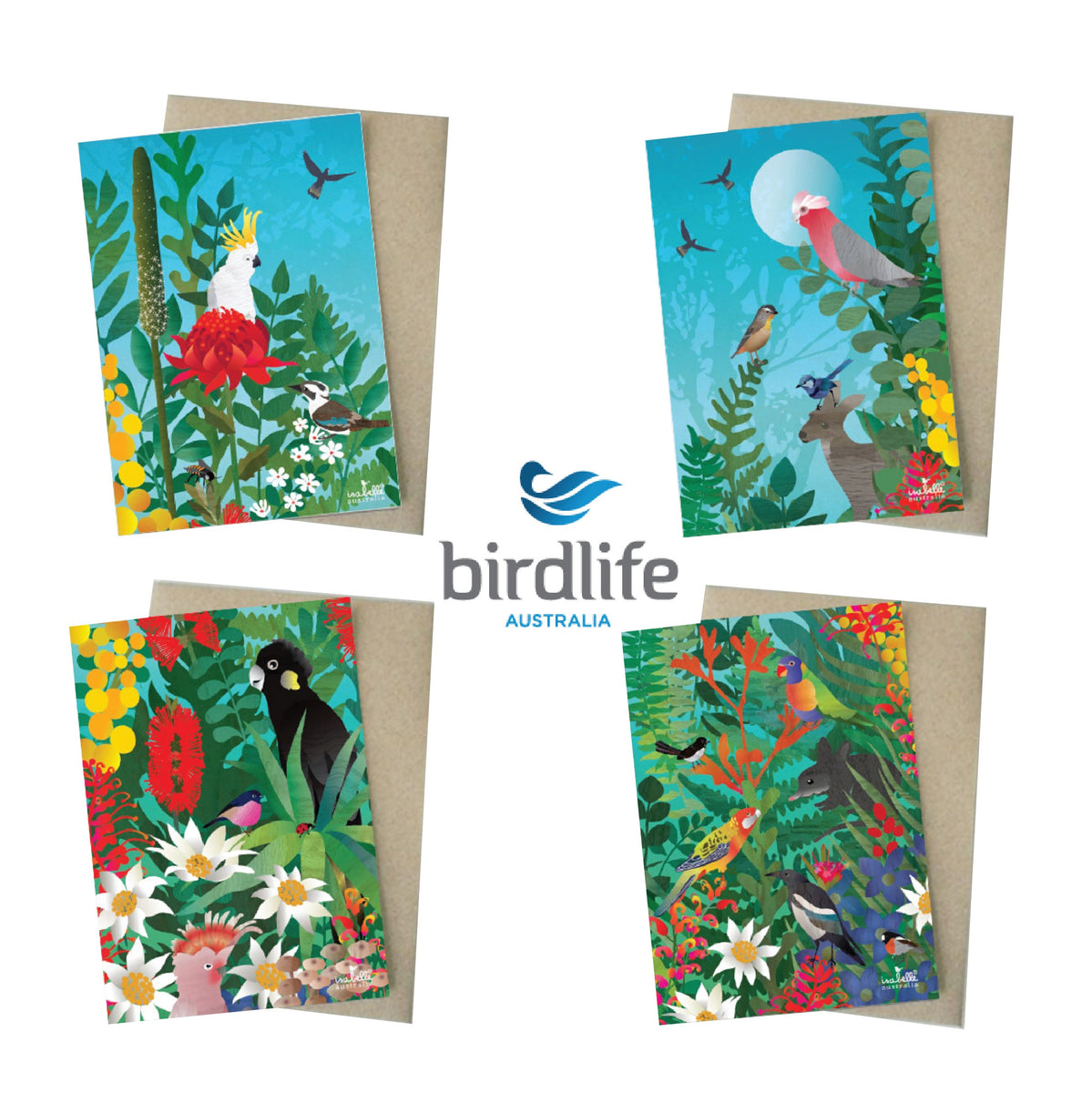 Australian Bird Life Greeting Card Gift Pack - Made in Australia – La ...